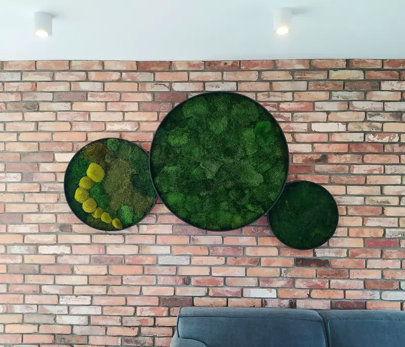 Mech na ścianę: panele z mchu, obraz z mchem i inne zastosowania mchu w ...